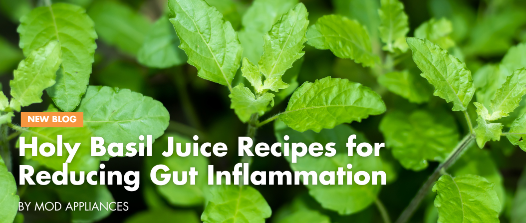 Holy Basil Juice Recipes for Reducing Gut Inflammation – Mod Appliances USA